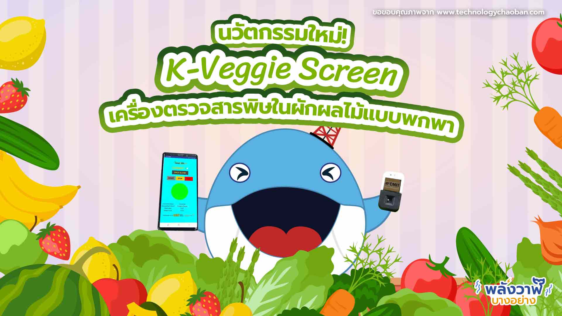 นวัตกรรมใหม่! K-Veggie Screen เครื่องตรวจสารพิษในผักผลไม้แบบพกพา ...