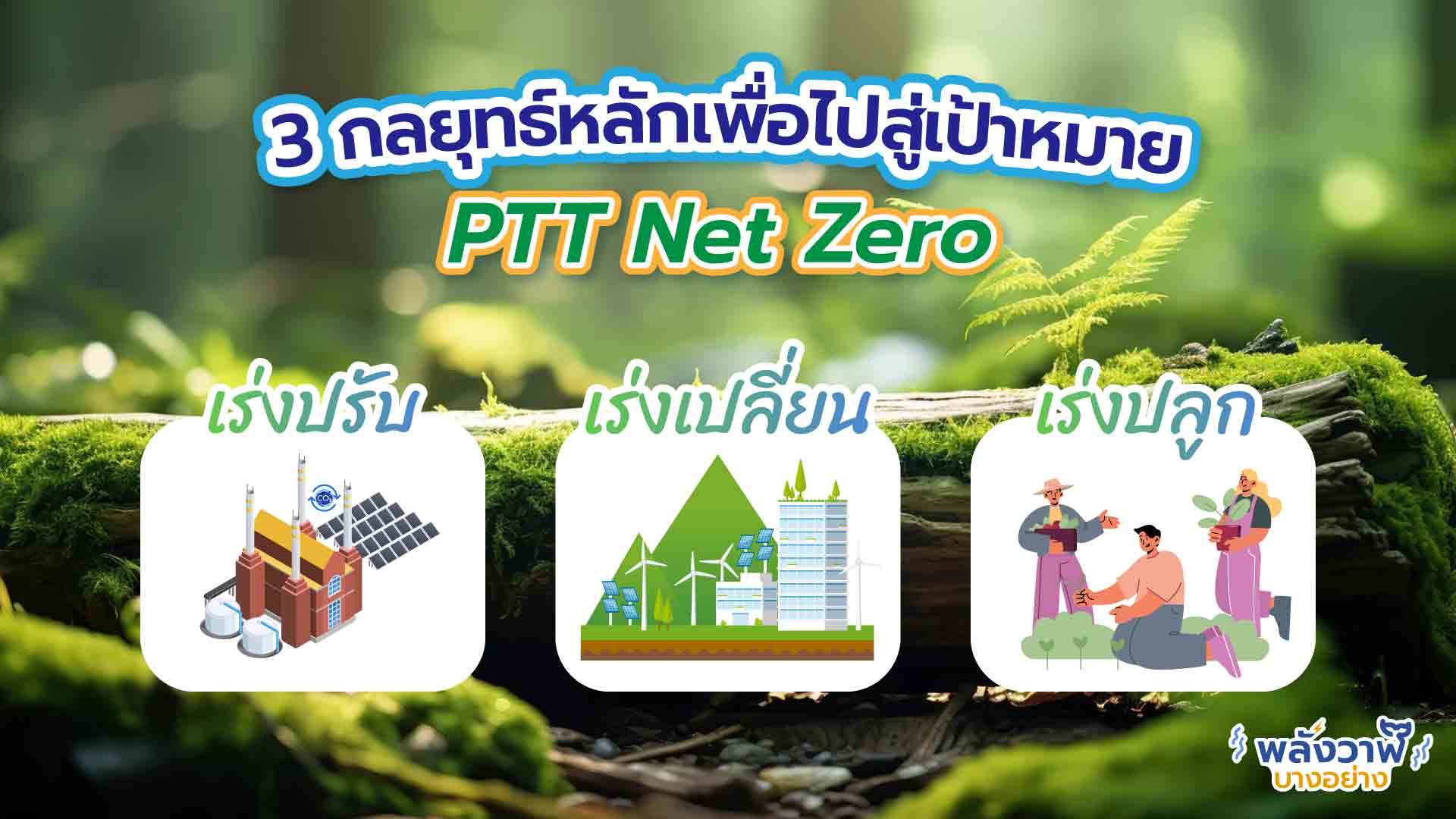 พี่วาฬอัปเดต การดำเนินงาน PTT Net Zero ความก้าวหน้าสู่อนาคตที่ยั่งยืน | Whale Energy Station
