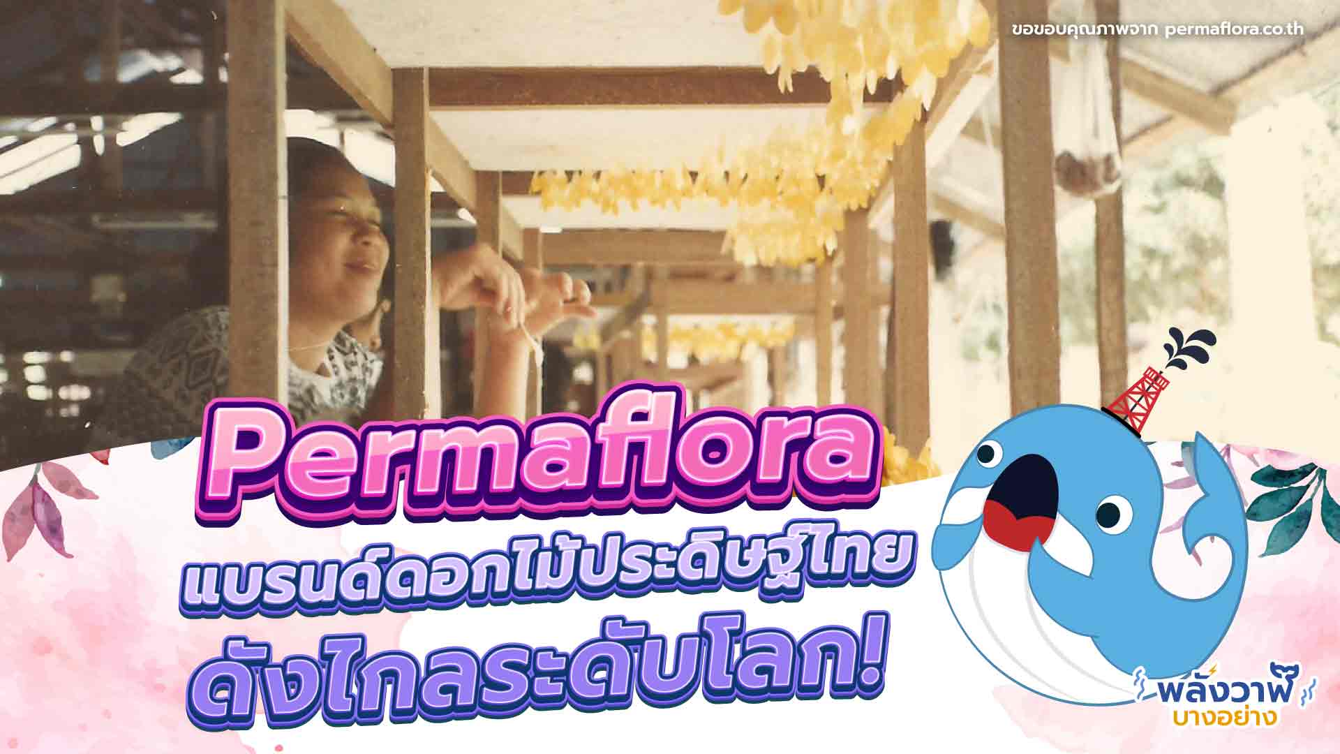 Permaflora แบรนด์ดอกไม้ประดิษฐ์ไทย ดังไกลระดับโลก! | Whale Energy Station